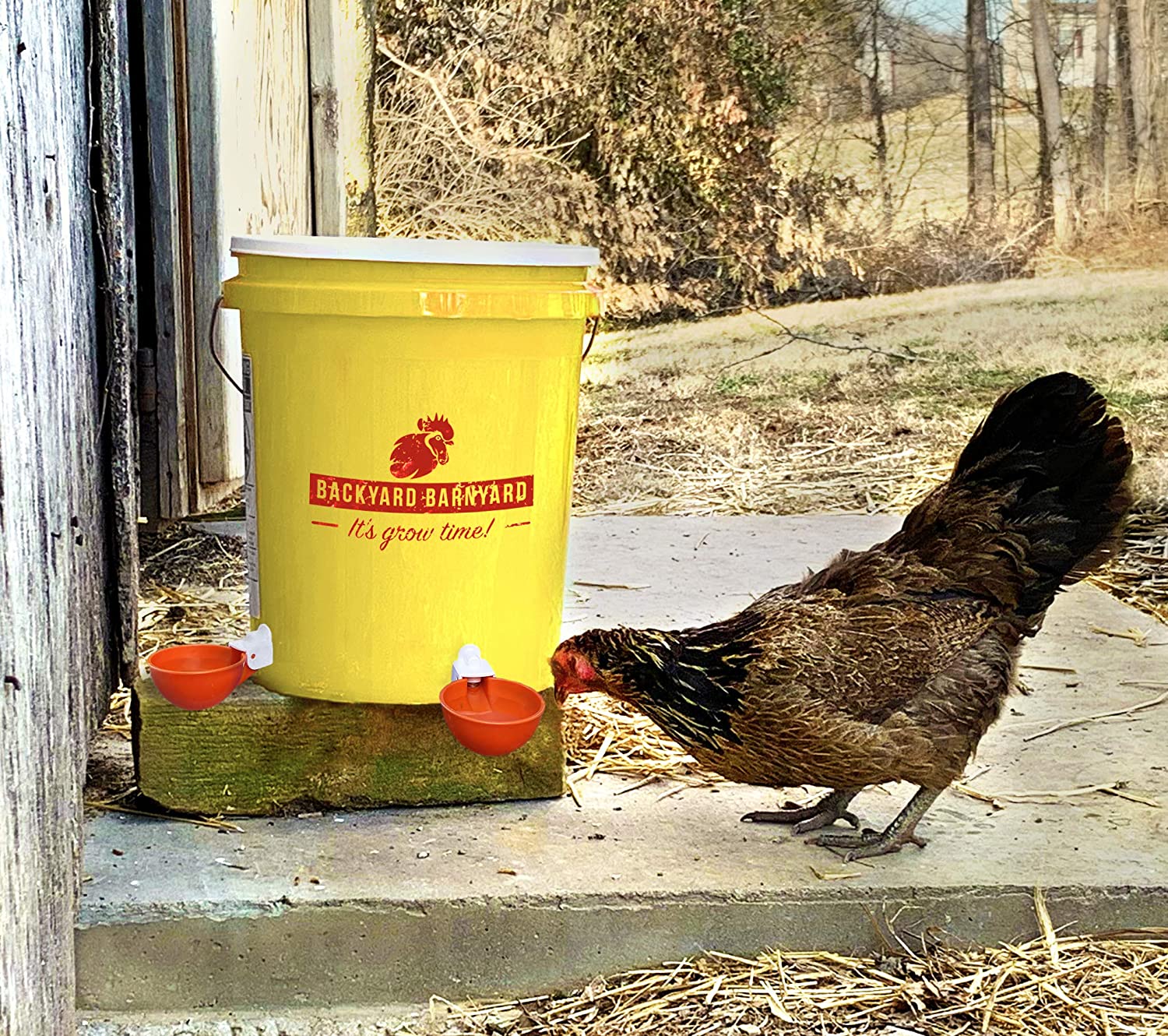 Automatic Poultry Water Cup – Ideal Fit for Any Coop and Any Flock, No ...