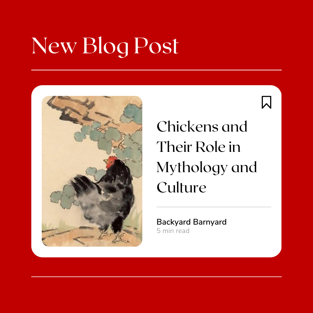 Chickens and Their Role in Mythology and Culture – Backyard Barnyard