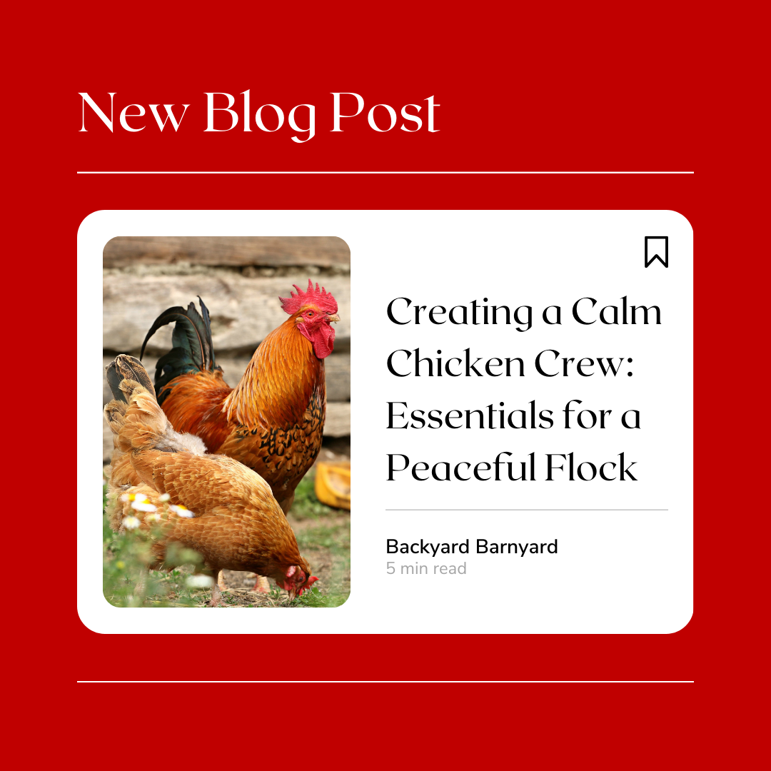 Creating a Calm Chicken Crew: Essentials for a Peaceful Flock ...