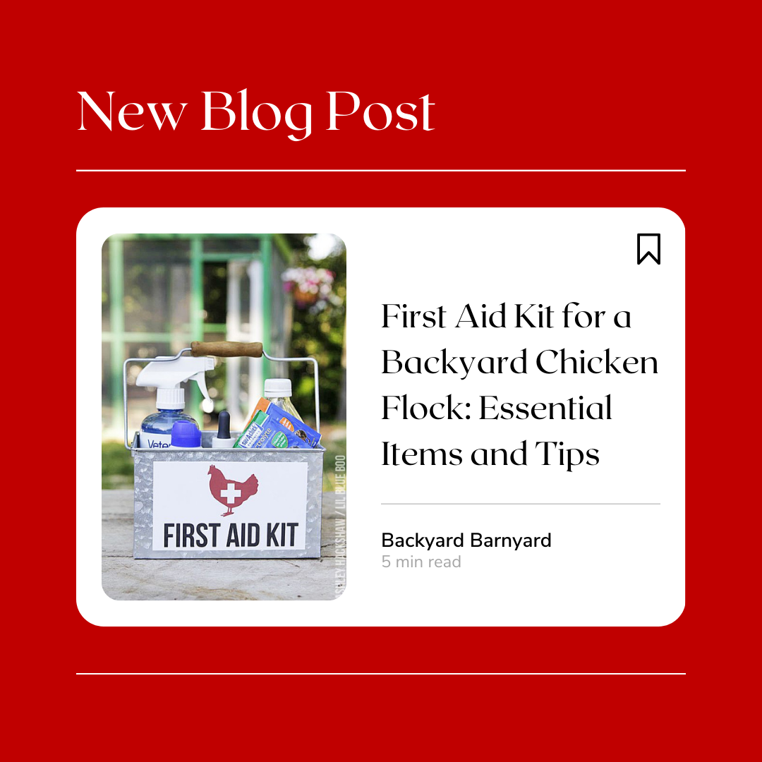 First Aid Kit for a Backyard Chicken Flock: Essential Items and Tips ...