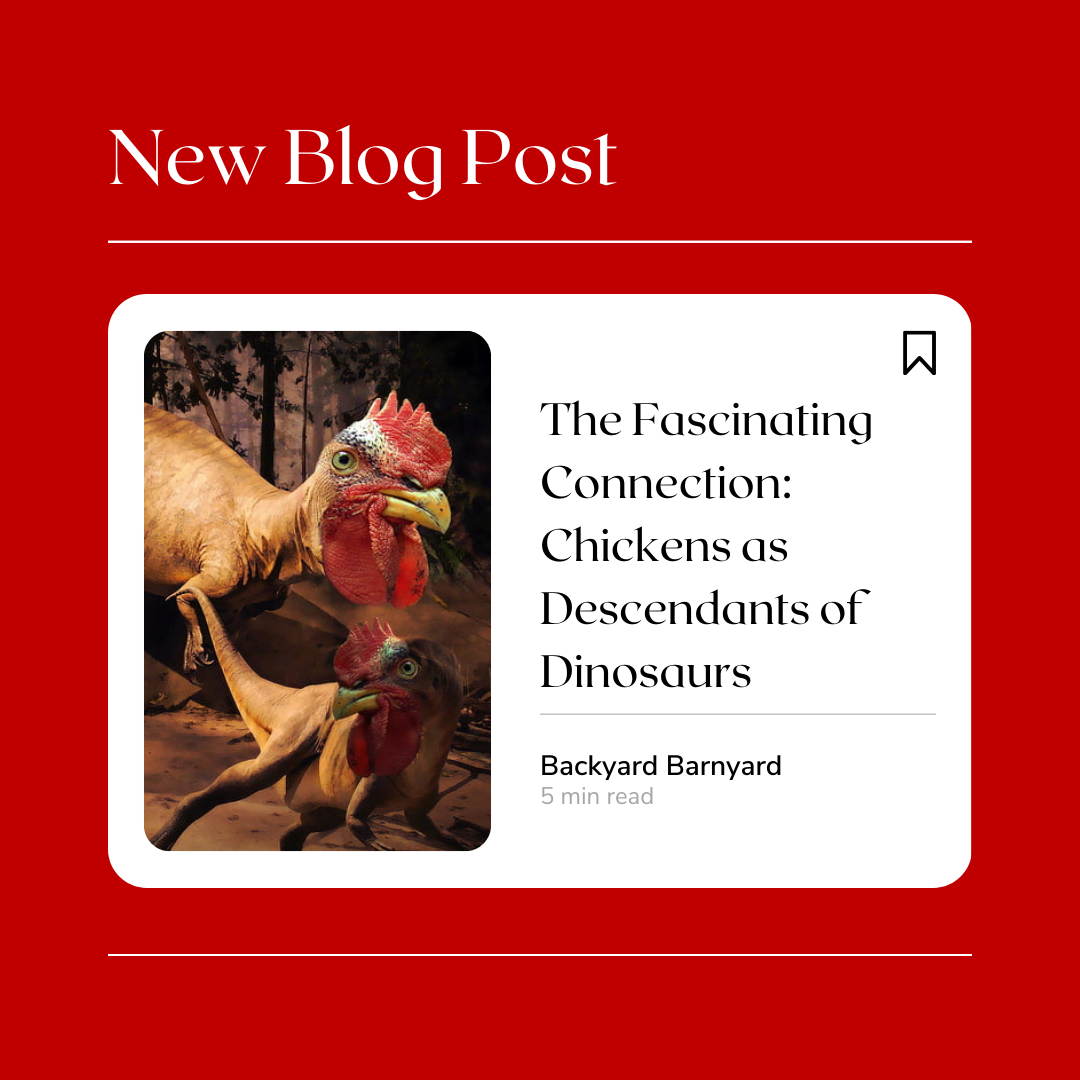 The Fascinating Connection: Chickens as Descendants of Dinosaurs ...