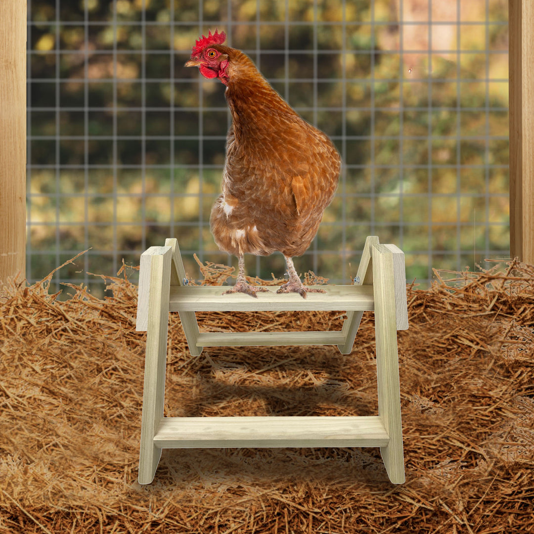 Coop Supplies MADE IN THE USA! Chicken Perch-Backyard Barnyard